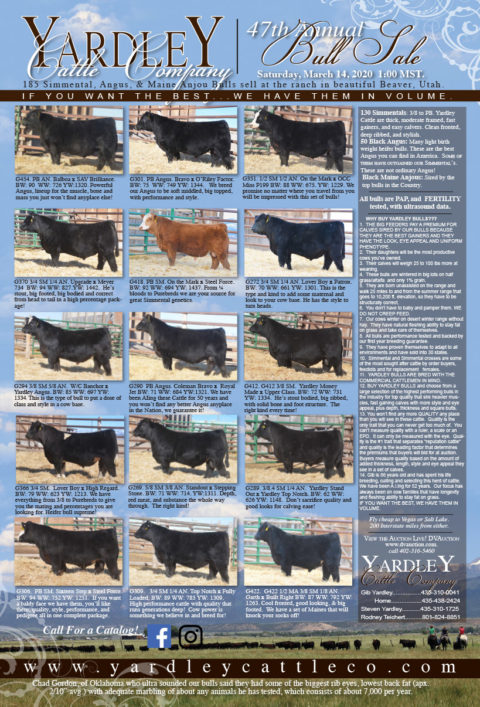 2020 Bull Sale | Yardley Cattle Company